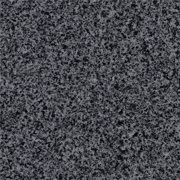 Grey/Black Granite Paving Slabs/Headstone/Pool Tiles Price - Grey Granite